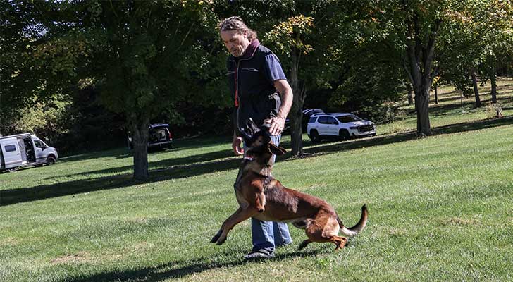 Leerburg | Dog training gear, online courses, training videos, and more