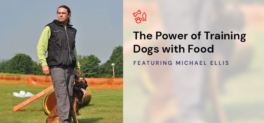 Leerburg | Dog training gear, online courses, training videos, and more