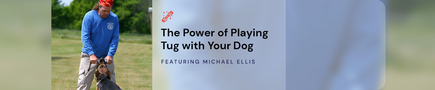 Leerburg | Dog training gear, online courses, training videos, and more