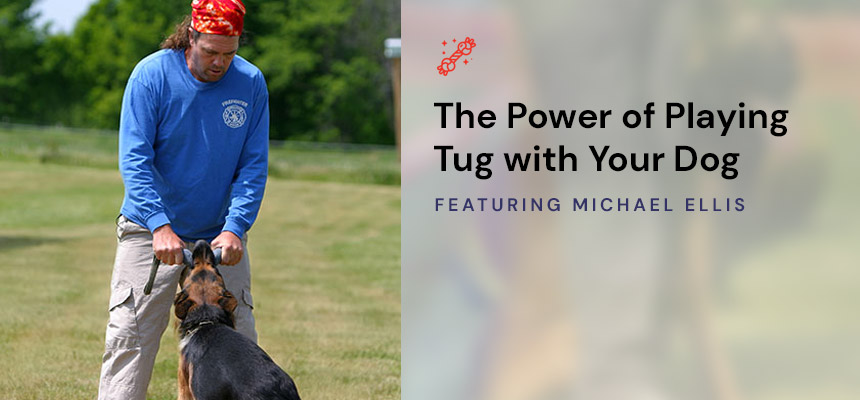 Leerburg | Dog training gear, online courses, training videos, and more