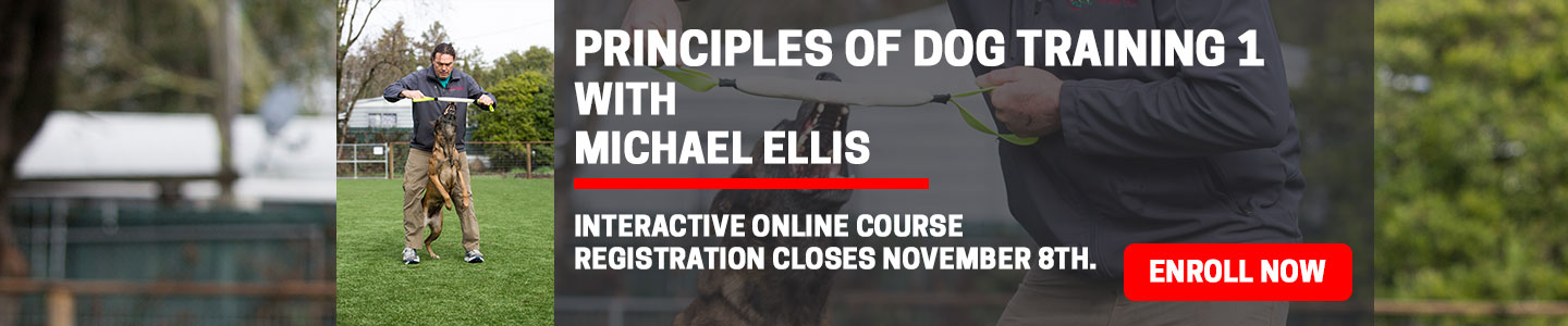 Leerburg | Dog training gear, online courses, training videos, and more