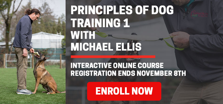 Leerburg | Dog training gear, online courses, training videos, and more