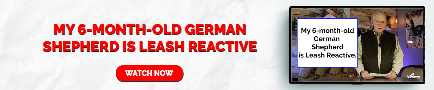 Leerburg | Dog training gear, online courses, training videos, and more