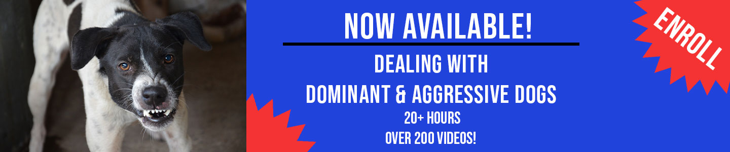 Leerburg | Dog training gear, online courses, training videos, and more