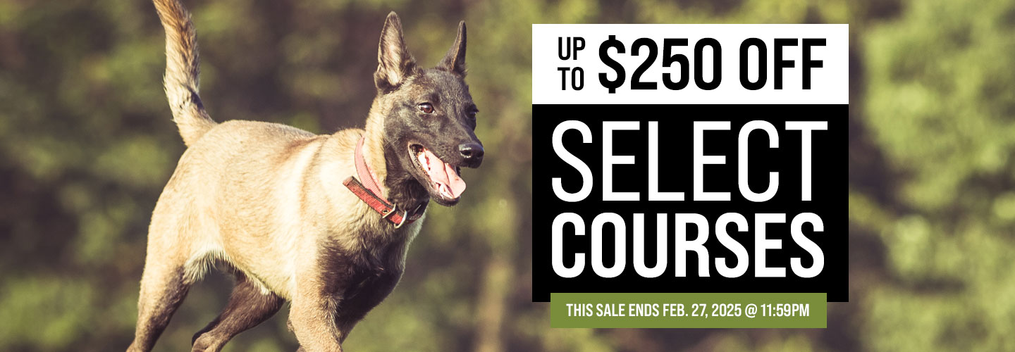 Leerburg | Dog training gear, online courses, training videos, and more
