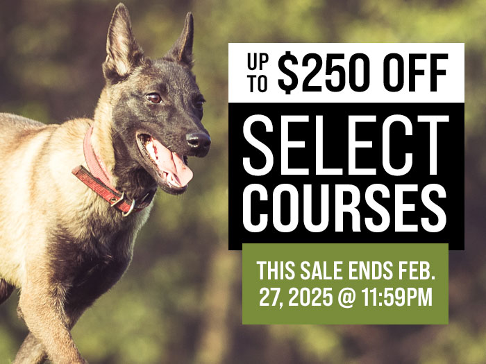 Leerburg | Dog training gear, online courses, training videos, and more