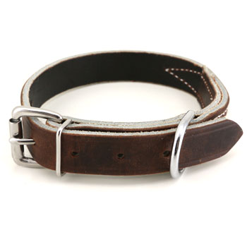 1" Flat Leather Collar