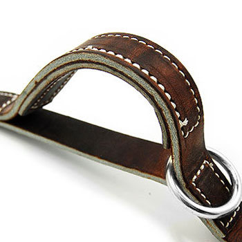 Leerburg | 1" Leather Collar with Handle