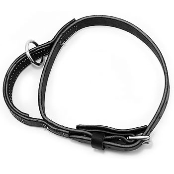 Leerburg | 1" Leather Collar with Handle