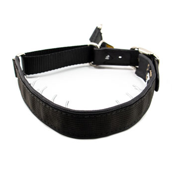 Keeper Collars Hidden Prong with Leather Strap