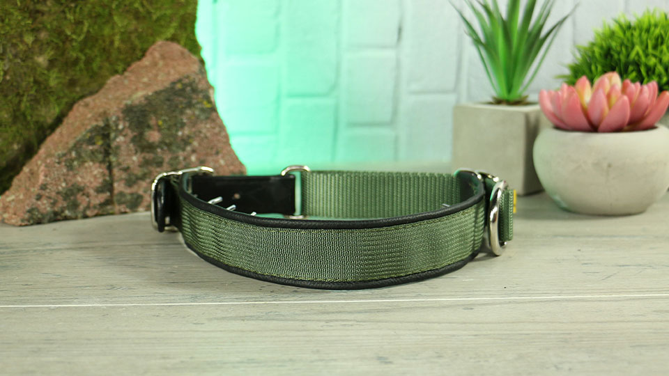 Leerburg | Keeper Collars Hidden Prong with Leather Strap
