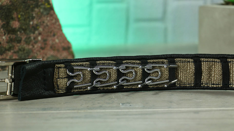 Leerburg | Keeper Collars Hidden Prong with Leather Strap