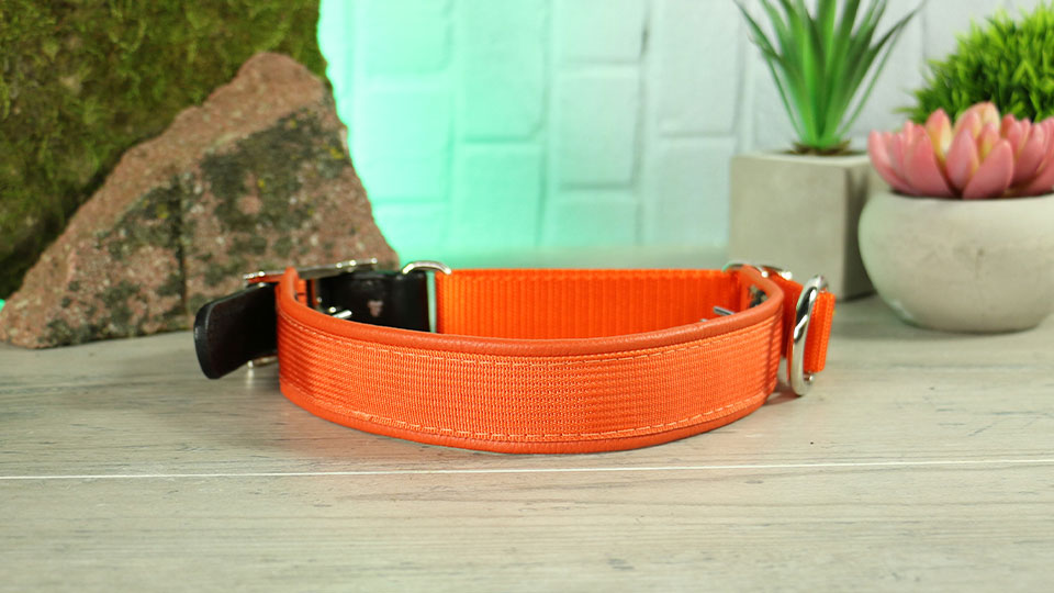 Leerburg | Keeper Collars Hidden Prong with Leather Strap