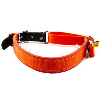 Keeper Collars Hidden Prong with Leather Strap