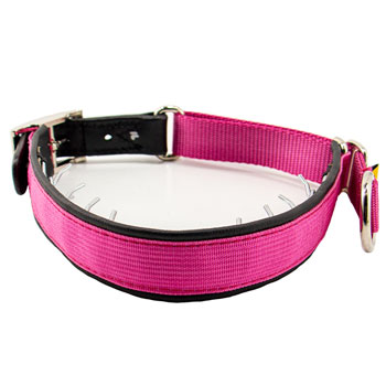 Keeper Collars Hidden Prong with Leather Strap