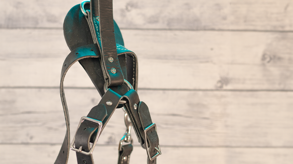 Leerburg | Tracking Harness with Handle