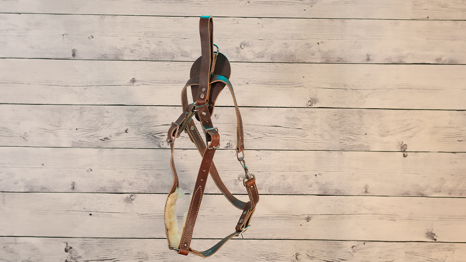 Leerburg | Tracking Harness with Handle