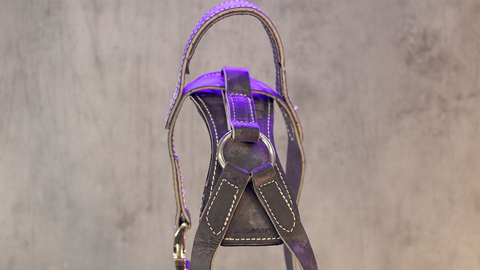 Leerburg | Leerburg's New Style Agitation Harness