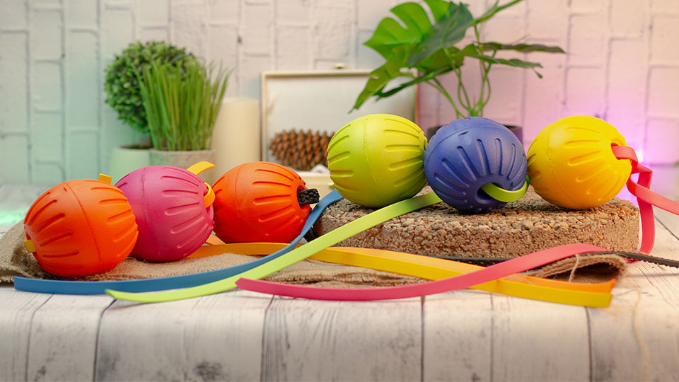 Leerburg | Dog training gear, online courses, training videos, and more