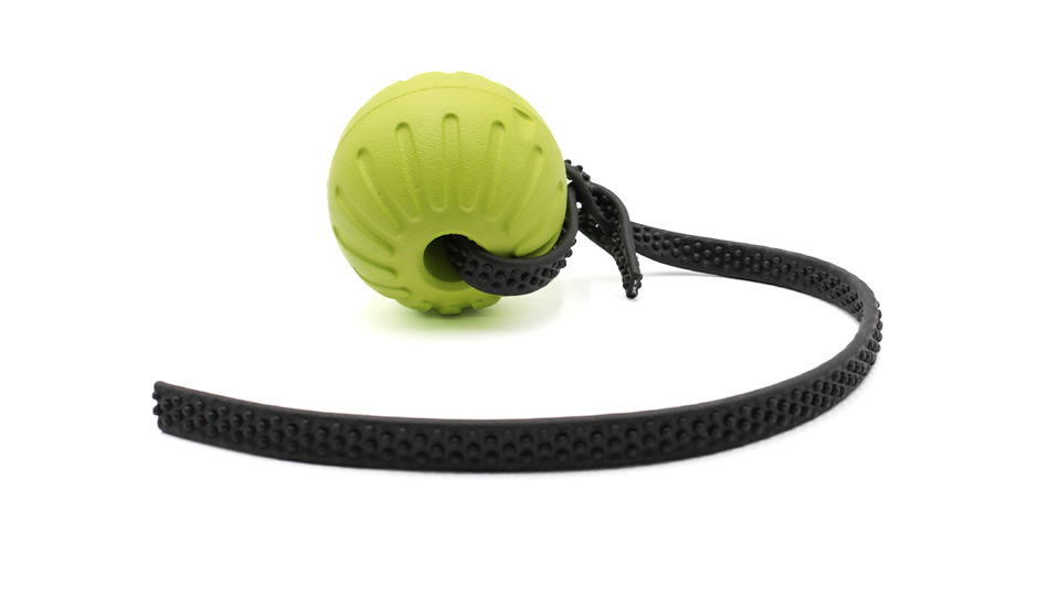 Leerburg | Leerburg Foam Ball with BioThane Strap