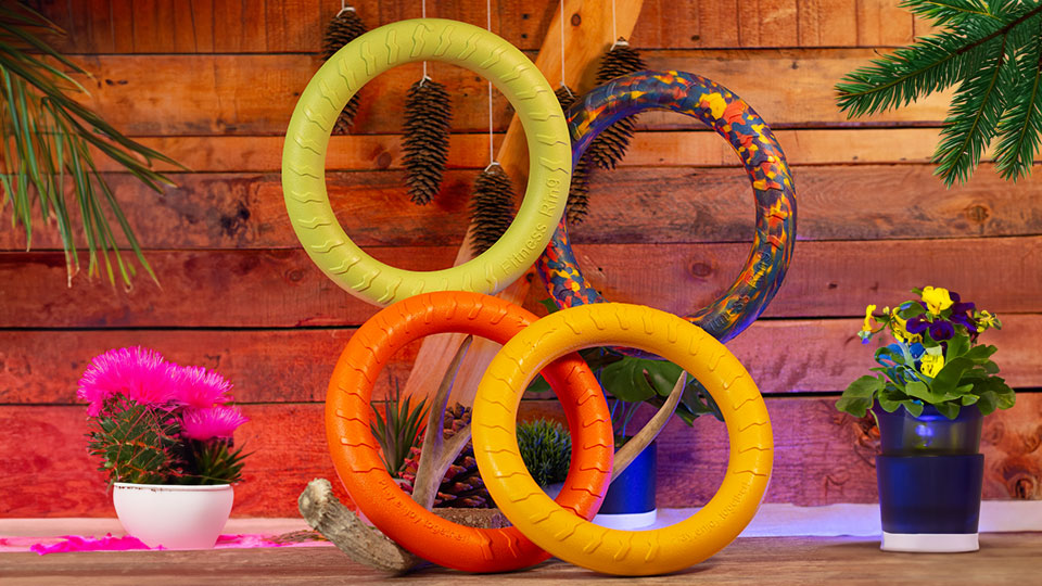 Leerburg | Dog training gear, online courses, training videos, and more