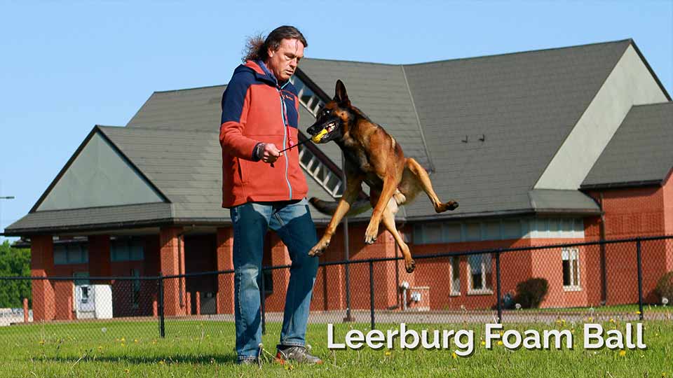 Leerburg | Dog training gear, online courses, training videos, and more