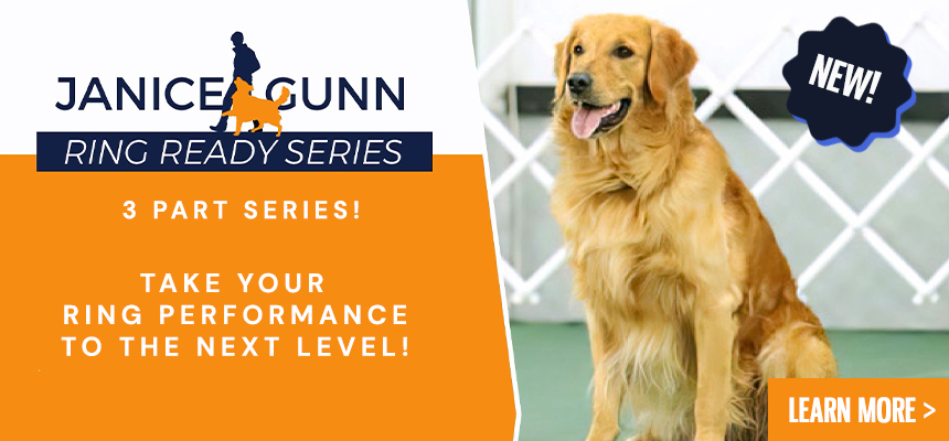 Leerburg | Dog training gear, online courses, training videos, and more