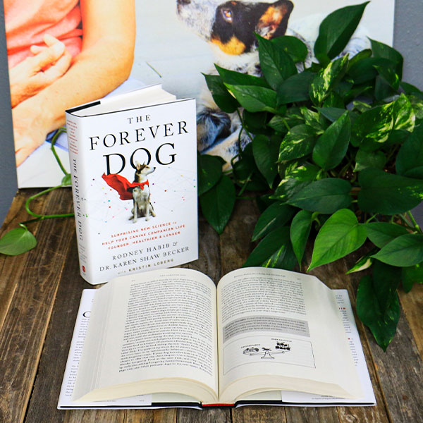 The Forever Dog