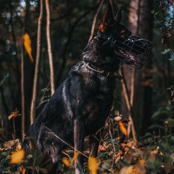 Polymer Coated Wire Muzzle